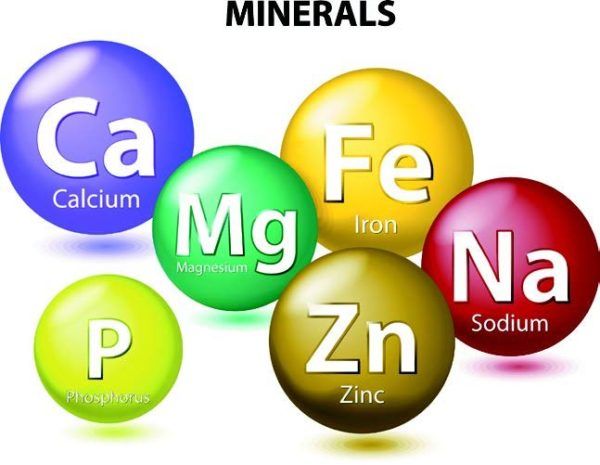 Don't Fear Anti-nutrients - Tufts Health & Nutrition Letter