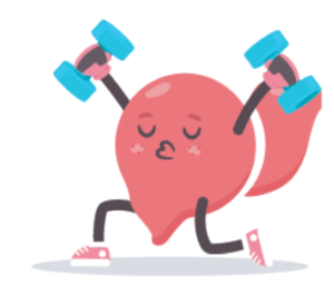 Exercise is Good for Your Liver - Tufts Health & Nutrition Letter