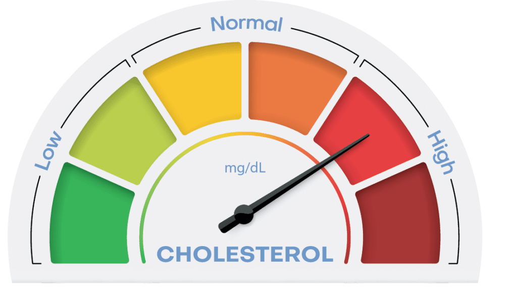 Cholesterol, Explained - Tufts Health & Nutrition Letter