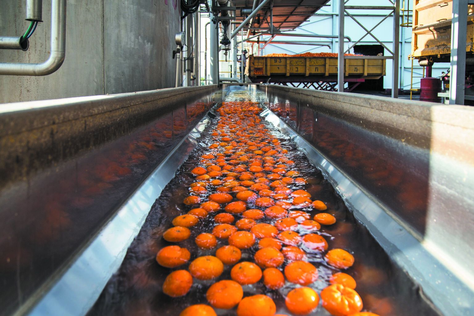 Food Processing and Your Health: Balancing Benefits and Risks - Tufts ...