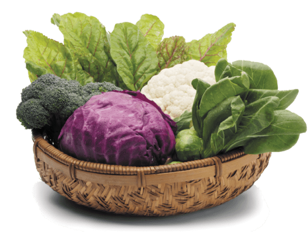 Understanding Plant “Antinutrients” - Tufts Health & Nutrition Letter