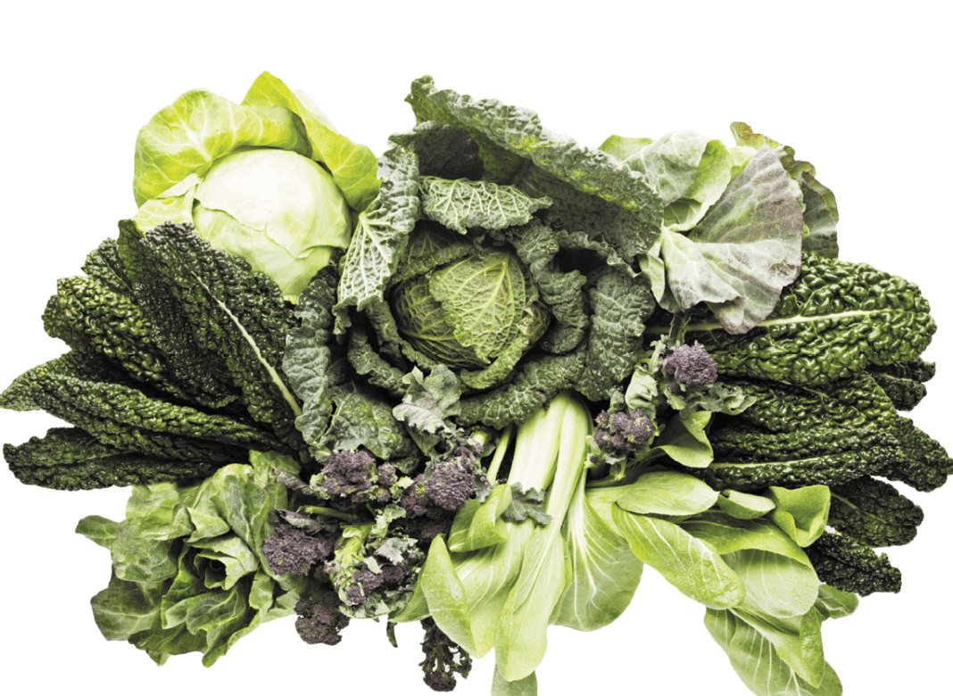 Cue Up Cabbage! - Tufts Health & Nutrition Letter