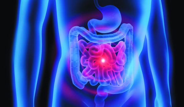 Tummy Trouble: When to Seek Help - Tufts Health & Nutrition Letter