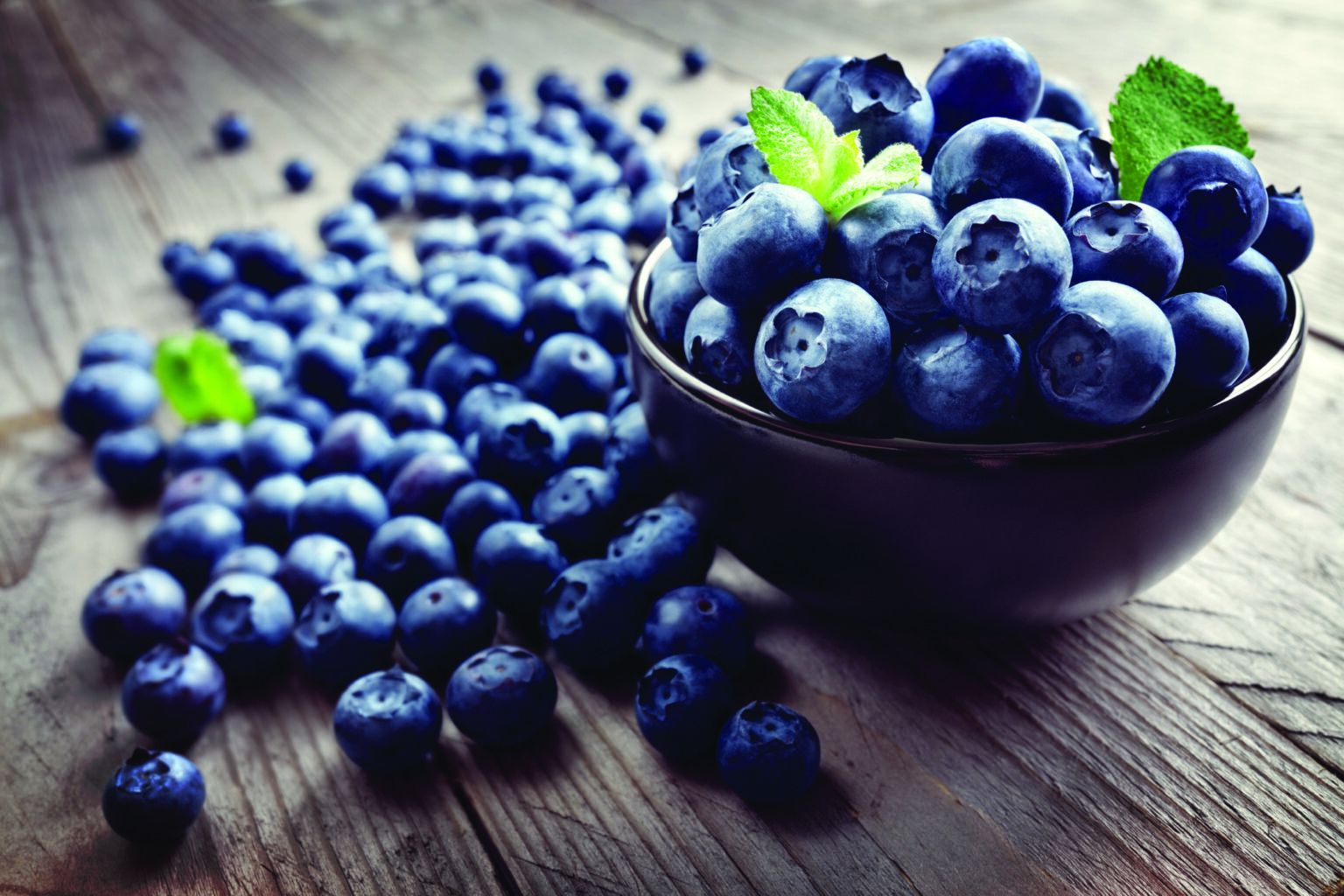 It’s Blueberry Season! - Tufts Health & Nutrition Letter